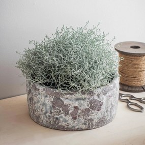 Garden Trading Obal na květiny Withington 24cm, šedá barva, keramika 24,5cmx11cm