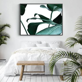 DecoKing - Nástěnný plakát - Rainforest