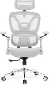 Ergonomická kancelářská židle FORCE - šedá síťovina