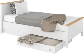 Casarredo - Komfort nábytek Zásuvka pod postel TOJAVA 09
