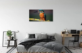 Obrazy na plátně Barevný pták na větvi 140x70 cm