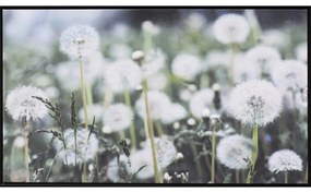 XXXLutz UMĚLECKÝ TISK, rostliny, 120/70 cm Monee - Umělecký tisk - 0080190129
