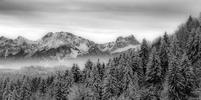 Obraz zamrzlé hory v černobílém provedení - 120x60 cm