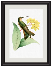 Obrázek kolibřík velký A4 (210 x 297 mm): A4