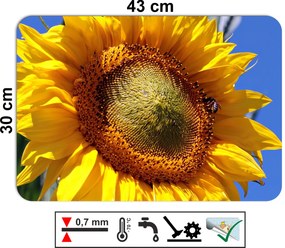PokojovaDekorace.cz, Prostírání - 288, Slunečnice, 43x30cm