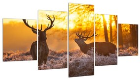 Obraz jelenů (150x80 cm)
