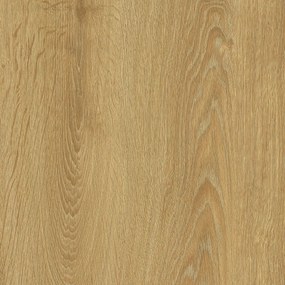 IVC Commercial, PVC podlaha - lino Logitex Ultimate 55 Elias T44, na míru, šíře 2m,4m, hnědá, filc, chodba / předsíň