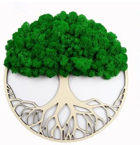 OznTo Obraz strom s mechem 50cm zelený