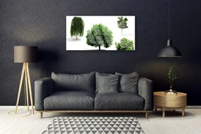 Plexisklo-obraz Stromy Příroda 100x50 cm