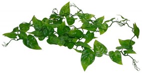 Lucky Reptile Jungle Vine Philo Vine cca 200 cm