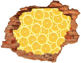 Wallmuralia Samolepící nálepka Plátky citronu 90x70 cm