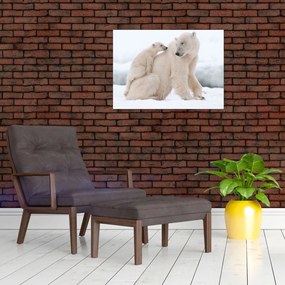 Skleněný obraz - Lední medvědi (70x50 cm)