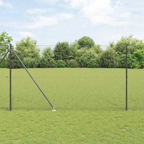 Svařované drátěné ploty s hroty 25 x 1,5 m Ocel potažená PVC 3352213