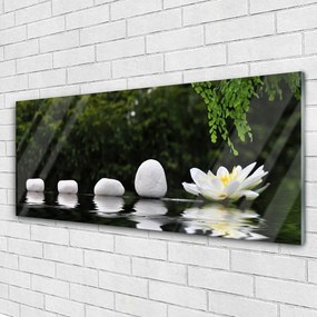 akrylový obraz Kameny Květ Umění 125x50 cm