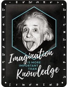 Plechová cedule Einstein Imagination & Knowledge, (15 x 20 cm)