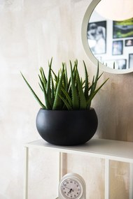 Miska na květiny MORINO, sklolaminát, výška 19 cm, antracit