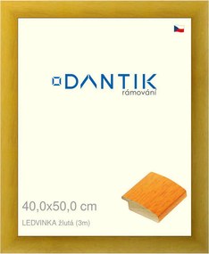 DANTIK rámeček 40x50 | LEDVINKA žlutá (Sklo Čiré)