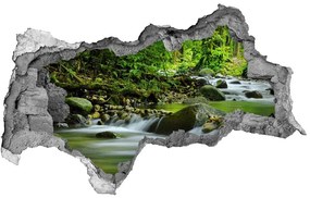 Wallmuralia Díra 3D ve zdi nálepka Horský potok 95x73 cm