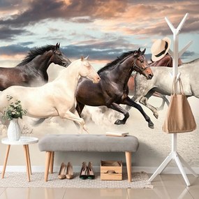 Samolepící tapeta stádo koní - 150x100 cm