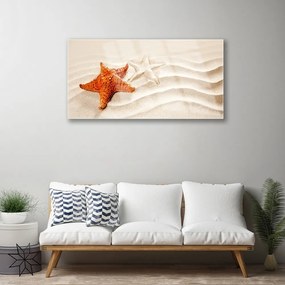 Plexisklo-obraz Hvězdice na Písku Pláž 100x50 cm