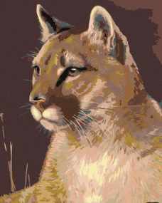 zuty malování podle čísel - puma, 80x100 cm, vypnuté plátno na rám