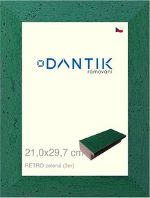 DANTIK rámeček 21x29,7 | RETRO zelená (Sklo Čiré)