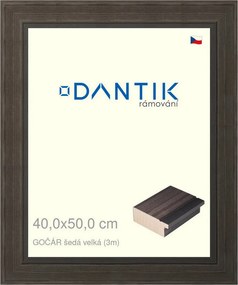 DANTIK rámeček 40x50 | Gočár šedá velká (Sklo Čiré)