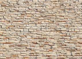 Malvis ® Tapeta Kamenná zeď Vel. (šířka x výška): 432 x 290 cm