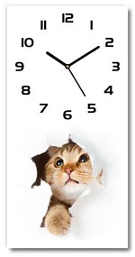 Wallmuralia Moderní skleněné hodiny na stěnu Kočka 30x60 cm