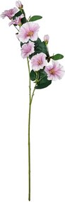 FLORISTA Povíjnice 76 cm - sv. růžová