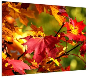 Obraz podzimních listů (70x50 cm)
