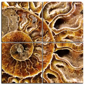 Obraz na plátně - Textura fosílie - čtverec 3174E (100x100 cm)
