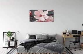 Obrazy na plátně růžové květy 120x60 cm