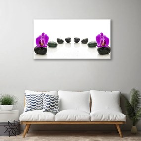 Obraz na plátně Květ Kameny Umění 120x60 cm