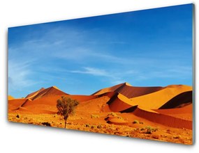 Plexisklo-obraz Poušť Krajina 120x60 cm