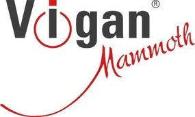 VIGAN Mammoth Rychlovarná konvice VIGAN WK12X