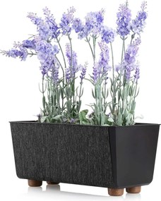 Truhlík s nožičkami Salvia 28,5x17 cm - výběr z 8 provedení