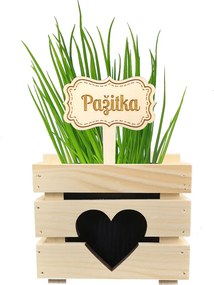AMADEA Dřevěný zápich - cedulka na bylinky Pažitka, výška 20 cm, český výrobek
