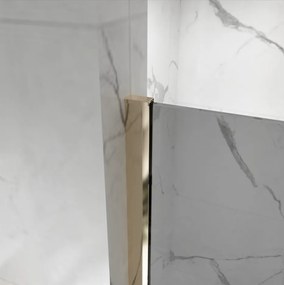 Erga Paris, sprchová zástěna Walk-In 30x200 cm, 8mm šedé sklo, zlatý lesklý profil, ERG-V02-PARIS-030x200-GR-GD