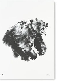 Teemu Järvi Plakát s motivem medvěda Roaring bear 50x70