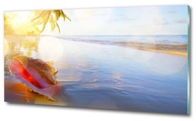 Wallmuralia Fotoobraz na skle Mušle na pláži 100x50
