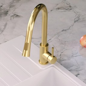 Kuchyňská dřezová baterie QUADRON JULIA s vytahovací sprchou zlatá PVD NANO