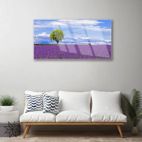 Obraz na skle Pole Levandule Strom Příroda 100x50 cm