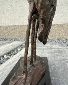 Bronzová socha - Pár marabu exotická soška ptáků