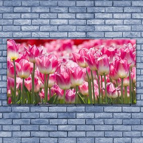 Plexisklo-obraz Tulipány Květiny Příroda 120x60 cm