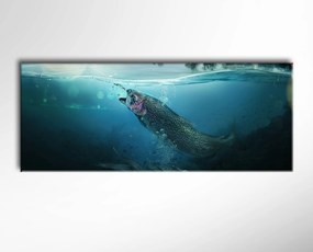 Malvis ® Obraz Pstruh pod vodou ROZMĚR (šířka x výška): jednodílný obdélník 150x60 cm