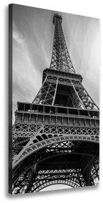 Wallmuralia Vertikální Foto obraz na plátně Eiffelová věž Paříž 50x100