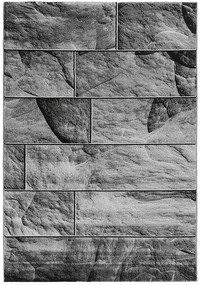 Breno Kusový koberec PARMA 9250 Black, 240x340 cm, Šedá/Černá