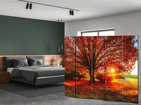 Paraván strom v paprscích slunce Rozměr: 225 x 180 cm