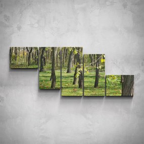 5-dílný obraz - Stromy v parku - PopyDesign